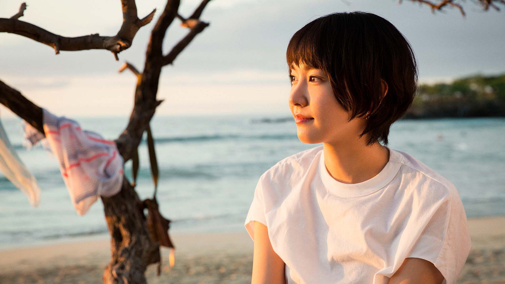 壁纸 | ガッキー | 新垣結衣